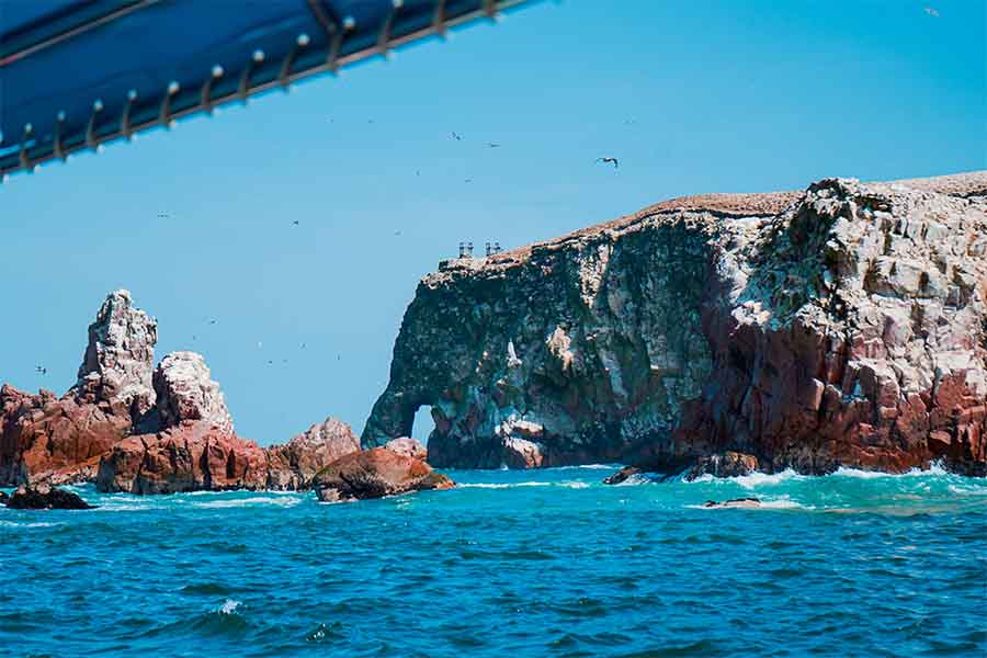 Conoce Islas ballestas conocidas como las galápagos de Perú